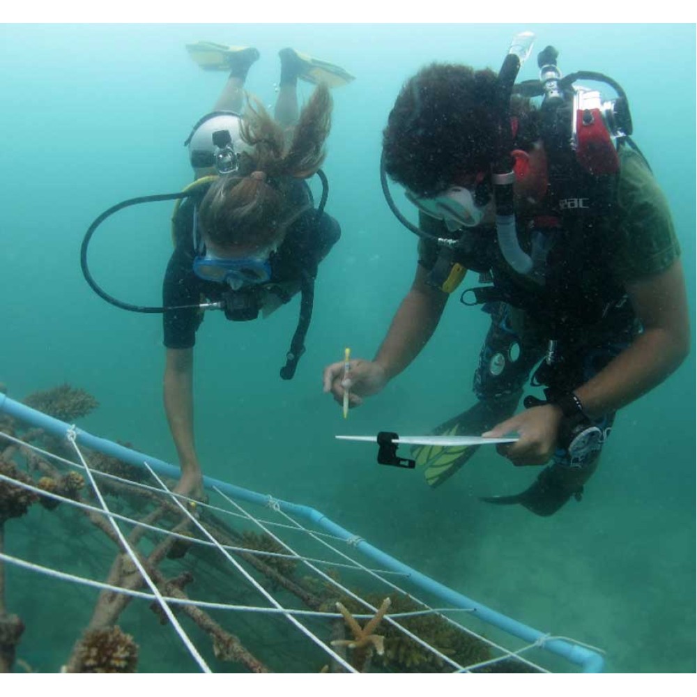 Project aware | Scuba Diving | Scuba Store