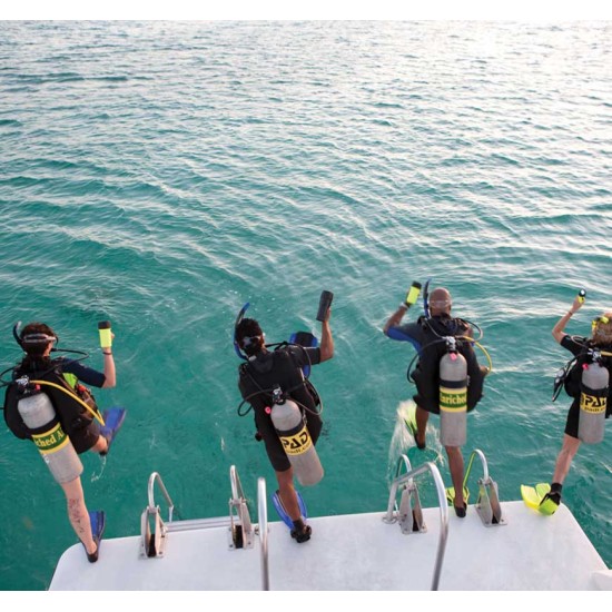 PADI Boat Diver | Scuba Diving | Scuba Store