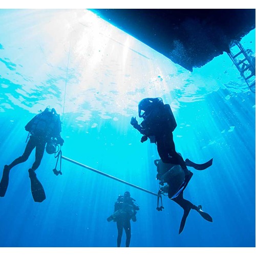 PADI Boat Diver | Scuba Diving | Scuba Store
