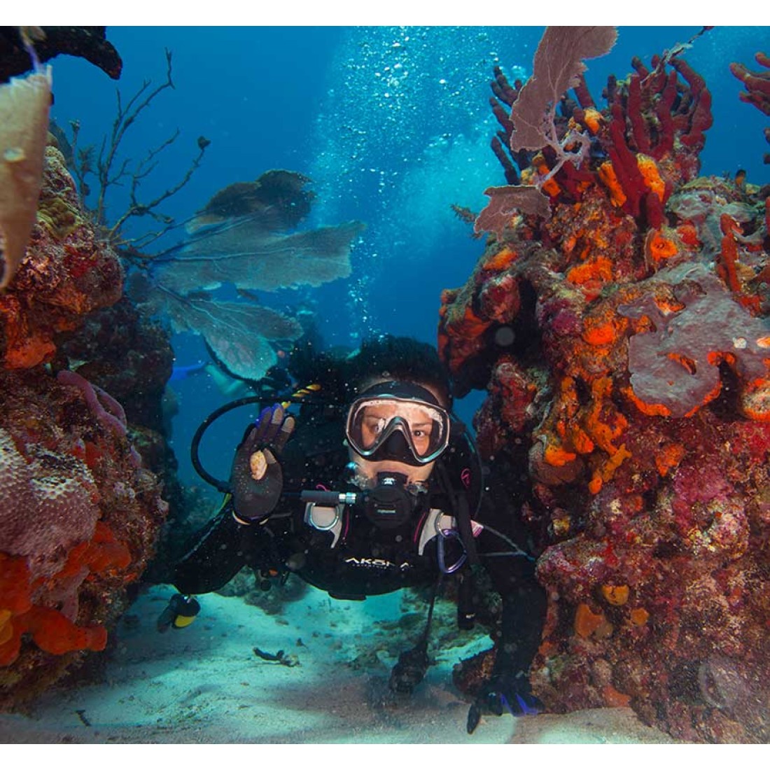 AWARE - Coral Reef Conservation | Scuba Diving | Scuba Store