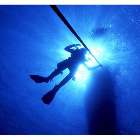 PADI Deep Diver | Scuba Diving | Scuba Store